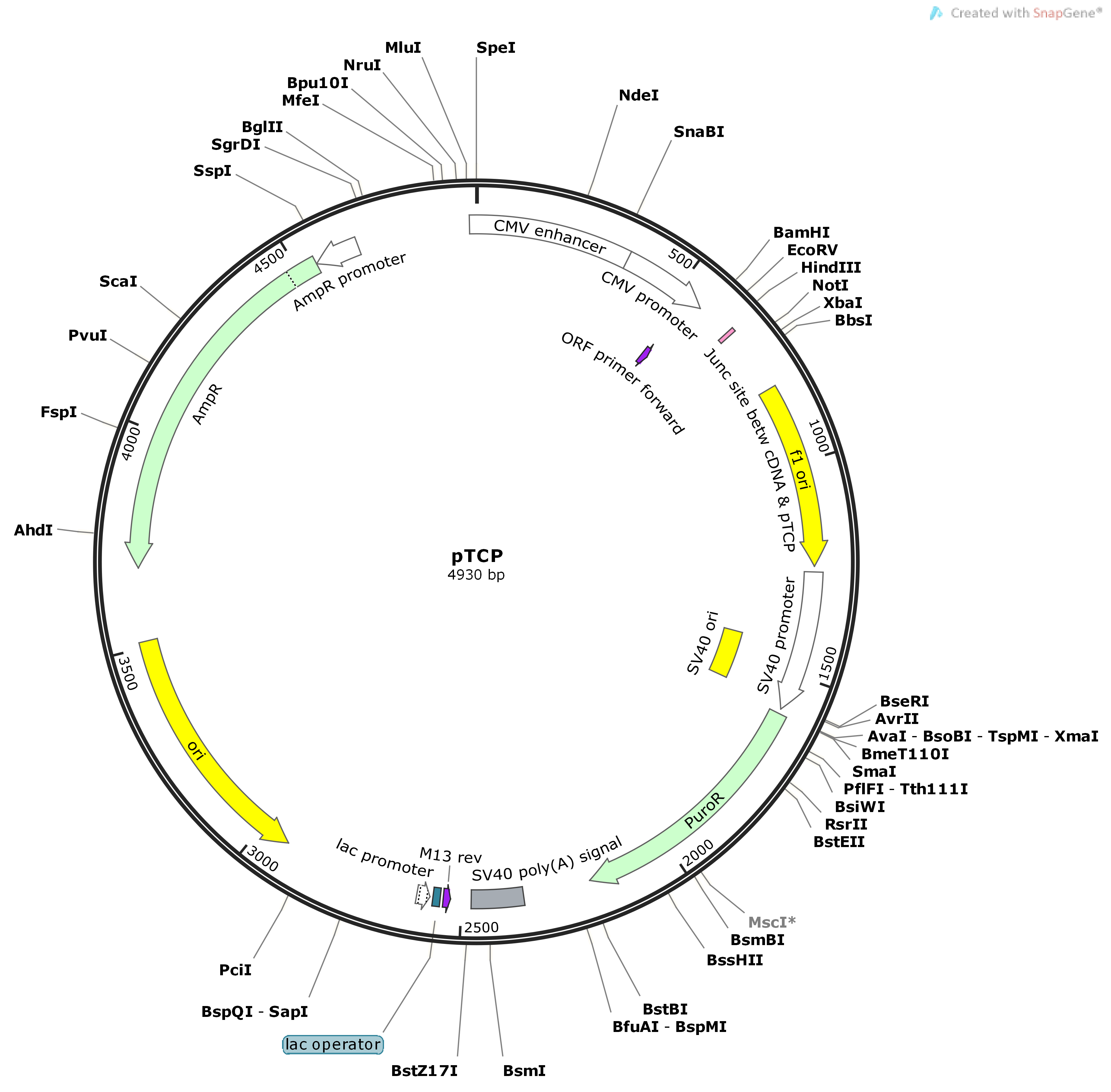 Vector Backbone pTCP